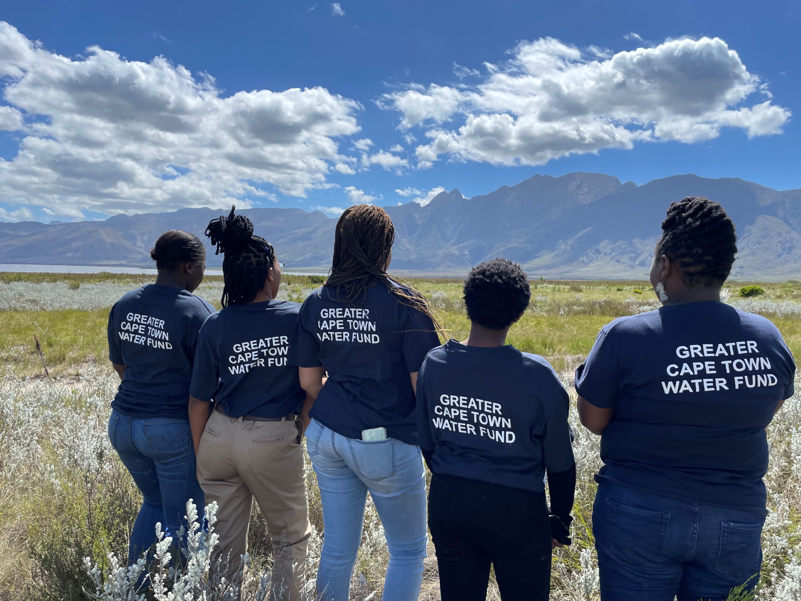 J.P. Morgan to fund Greater Cape Town Water Fund to remove invasive ...