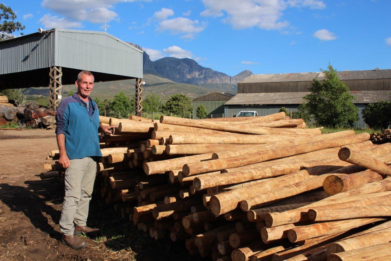 Vergelegen estate tests enviro-friendly gum poles - Social TV