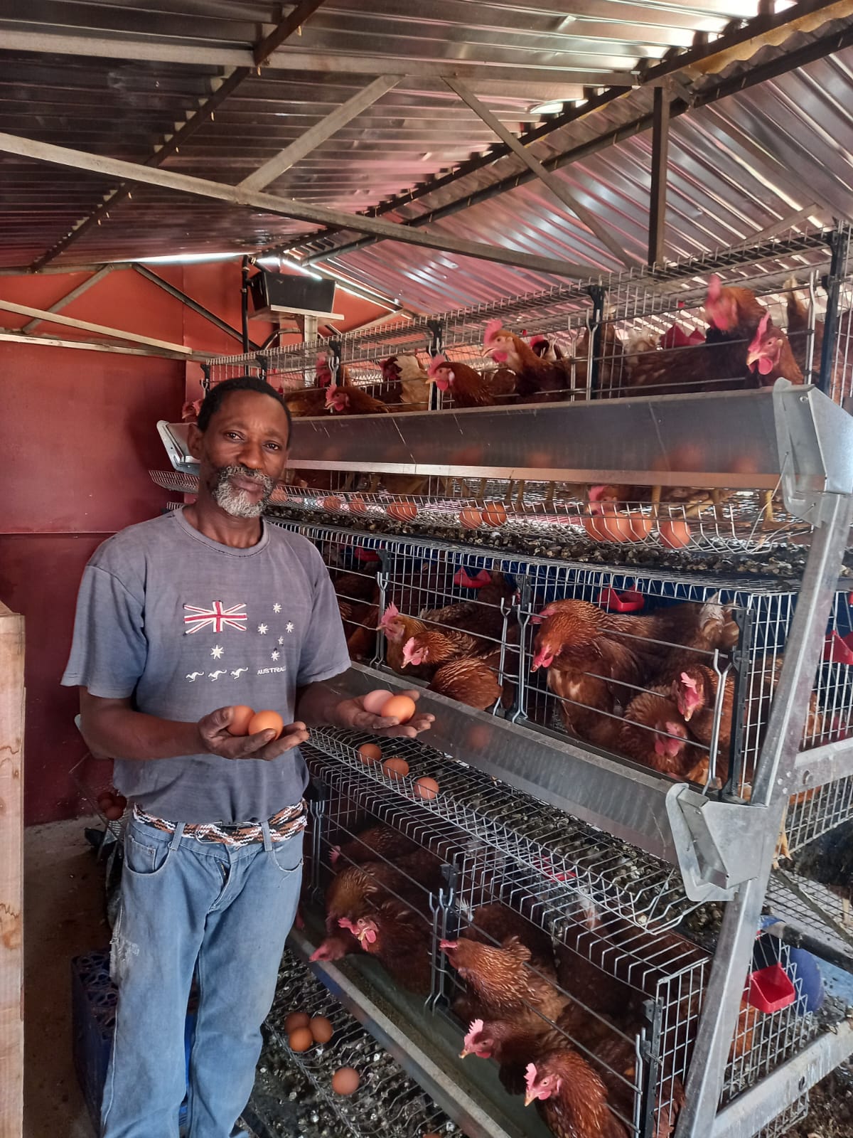 Boosting Poultry business and skils in Pofadder - Social TV