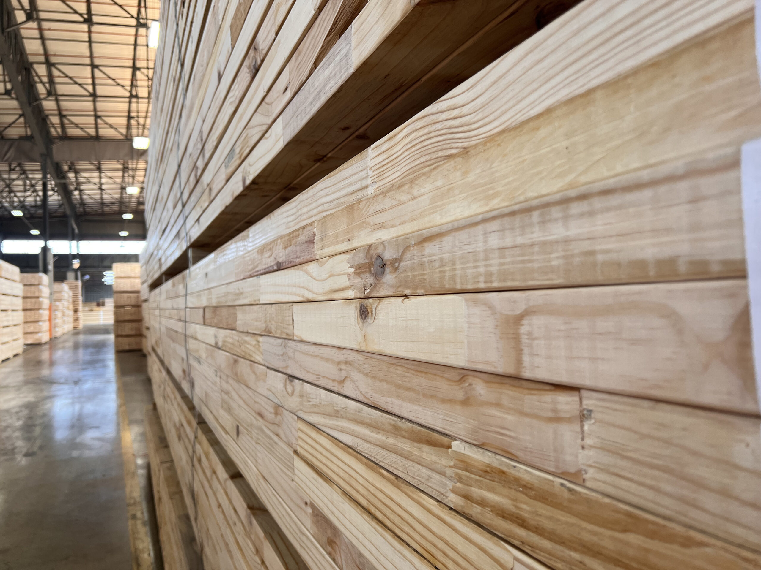 Can planks and paper packaging help solve the climate crisis? - Social TV