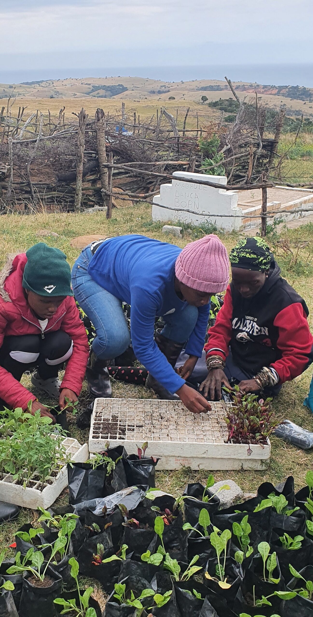 Woolworths makes further commitments to improve access to food in local ...