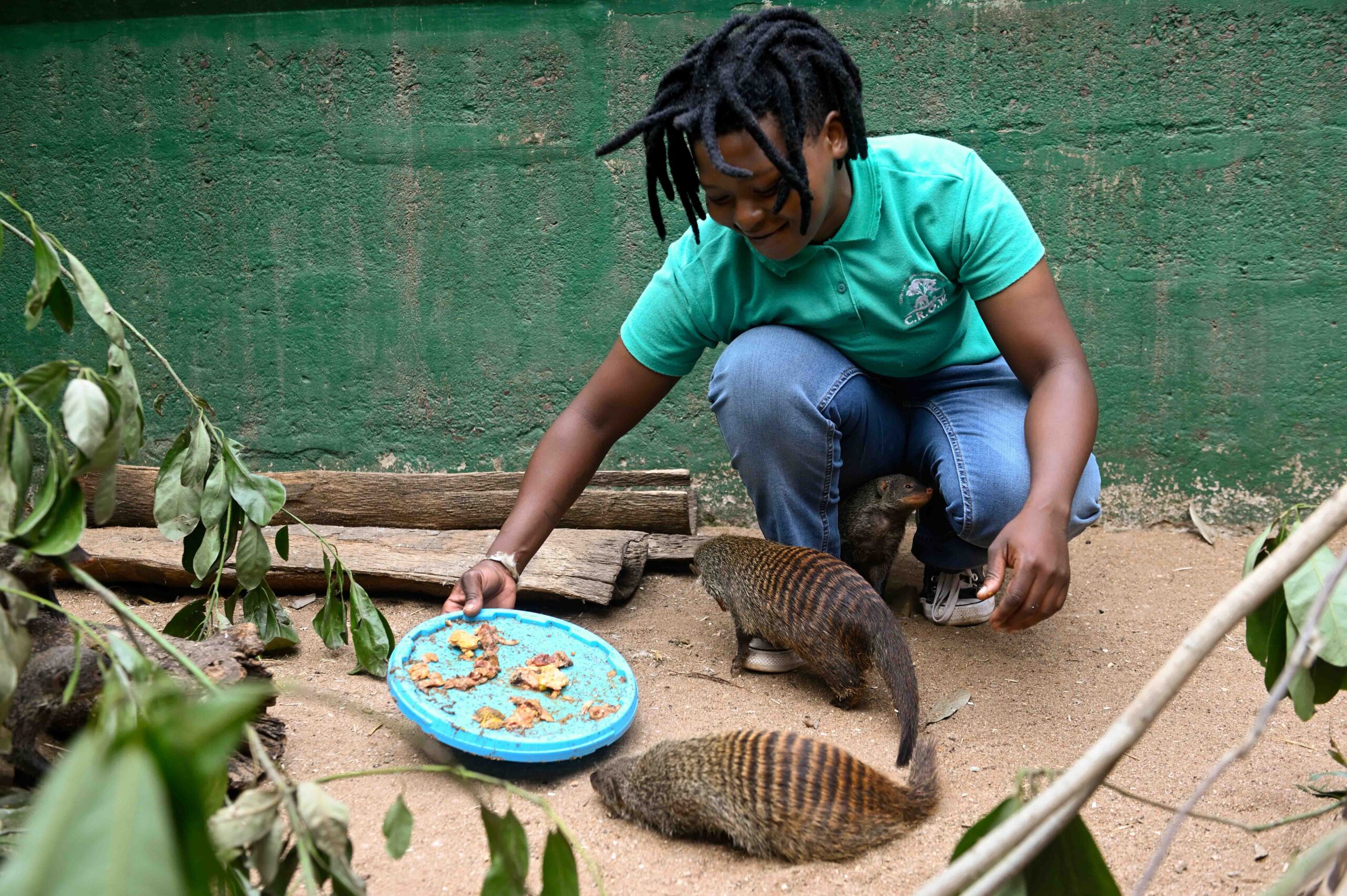 Centre for Rehabilitation of Wildlife (CROW) needs support (Call for ...