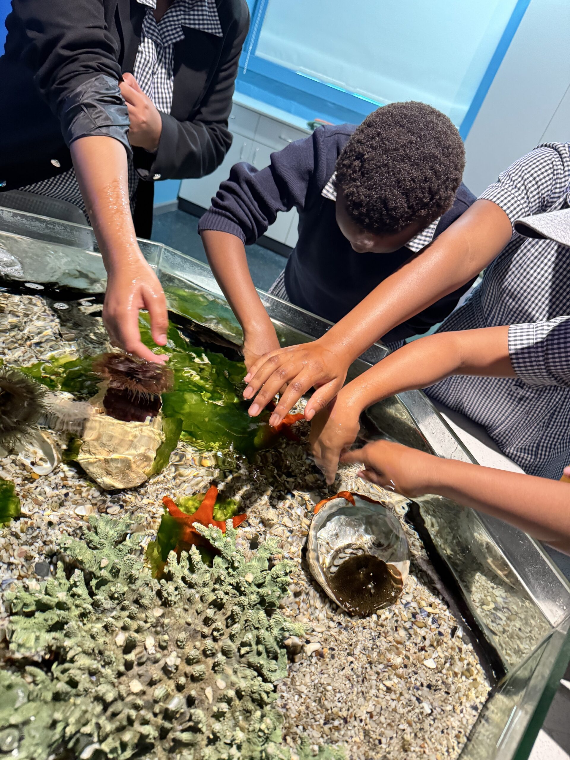 Floreat Primary learn about Ocean conservation - Social TV