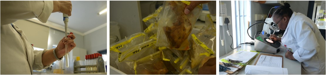 World Food Safety Day: some heroes wear lab coats - Social TV