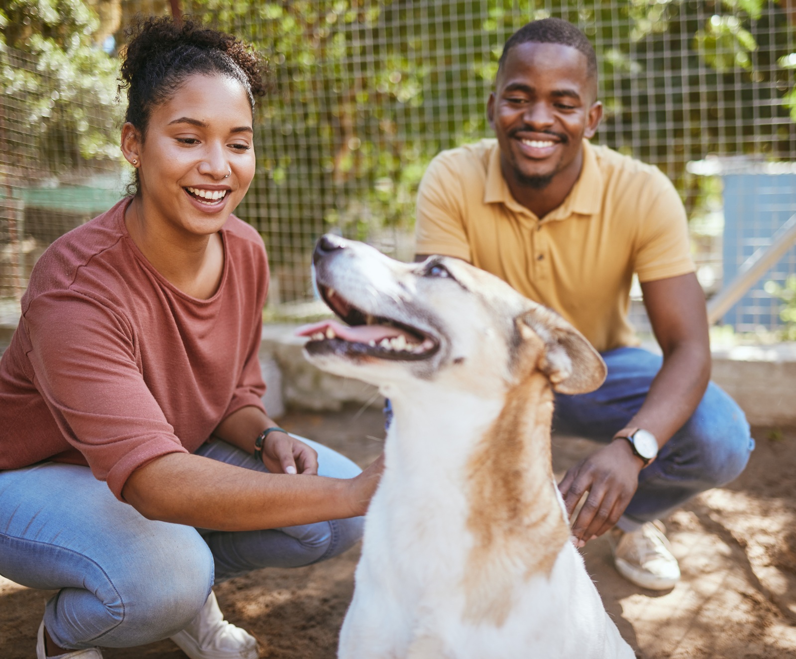 1.7 Million Strays, One Way to Help This Dog Day - Social TV