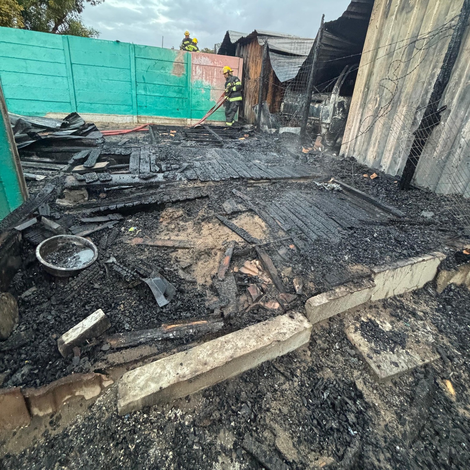 TEARS Animal Rescue needs help after fire at the premises - Social TV