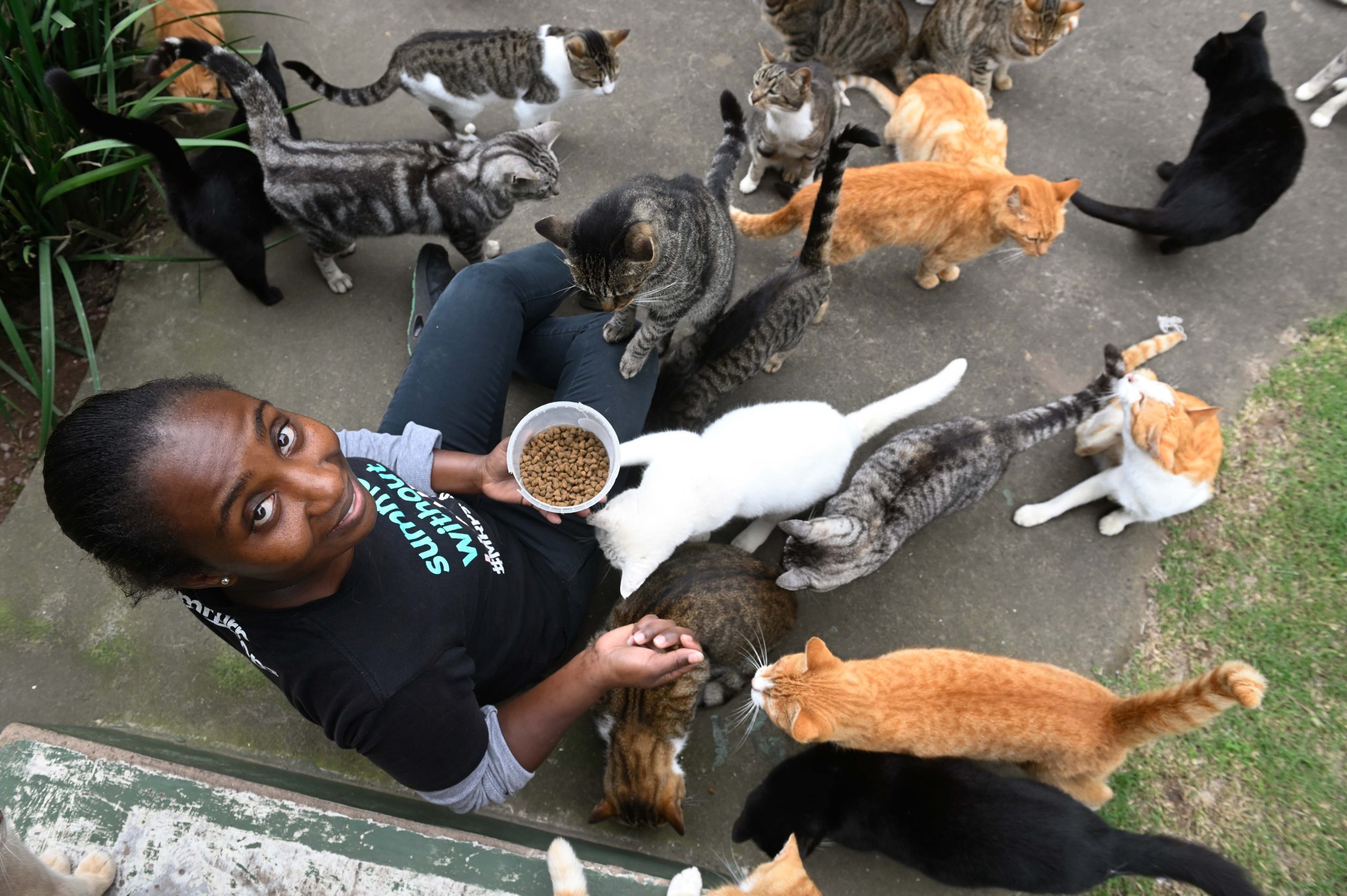 Animal Anti-Cruelty League Durban, PMB Plea for Help - Social TV
